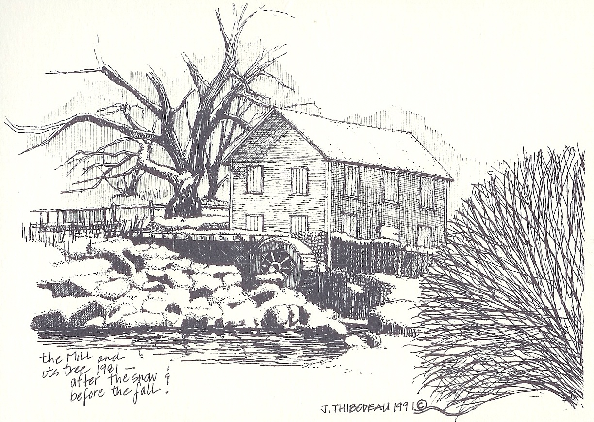 Portfolio – Helios Land Design